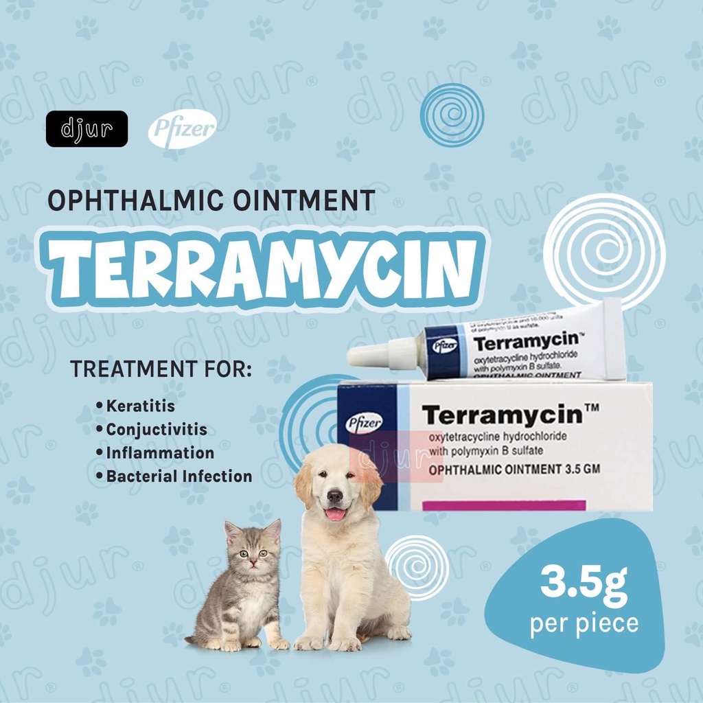 TERRAMYCIN 3.5g Ophthalmic Ointment for Dog Cat Conjunctiva for Pets ...