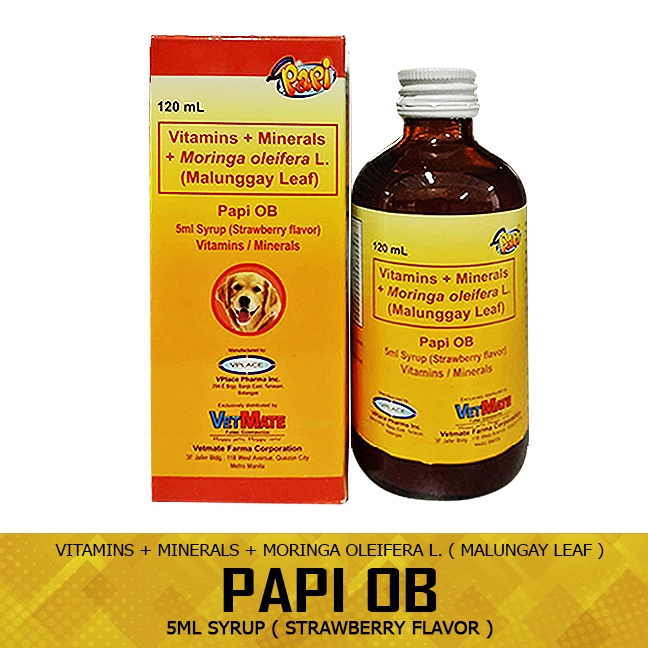 LKJ-Papi OB Syrup Vitamins + Minerals + Moringa oleifera L. (Malunggay ...