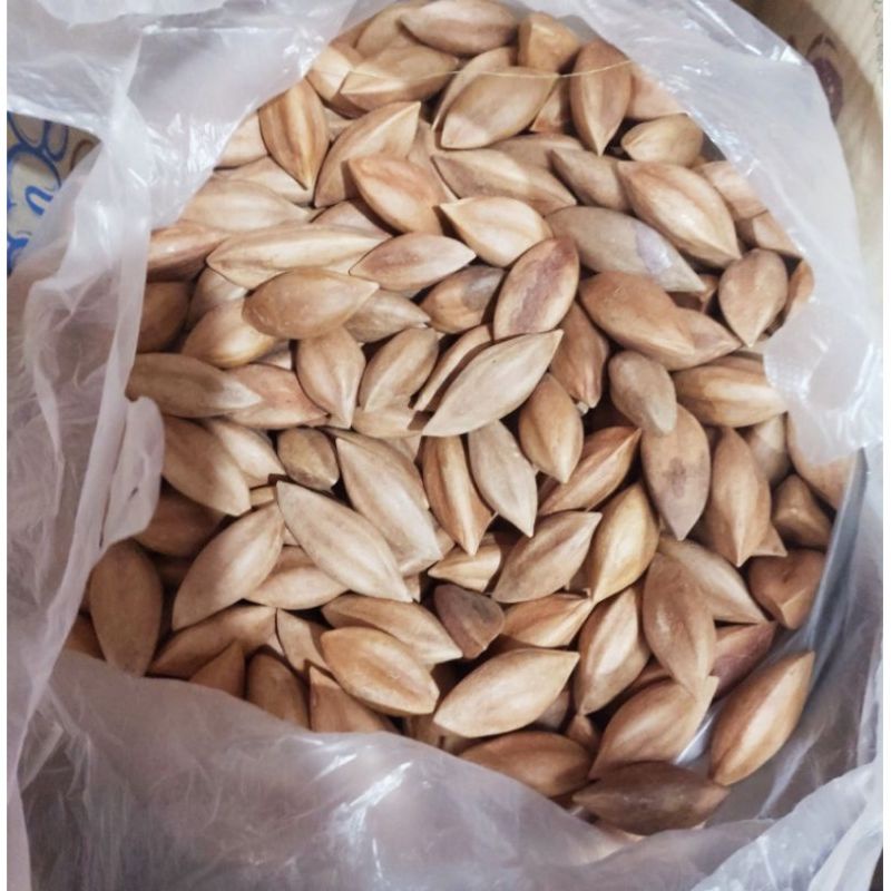 2 Kilograms Pili Nuts with shells good quality Pilinut in shell ...