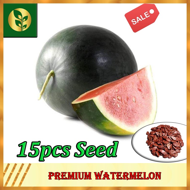 Watermelon Seeds | Pakwan Seeds | Vegetables seeds | Golden Quality ...