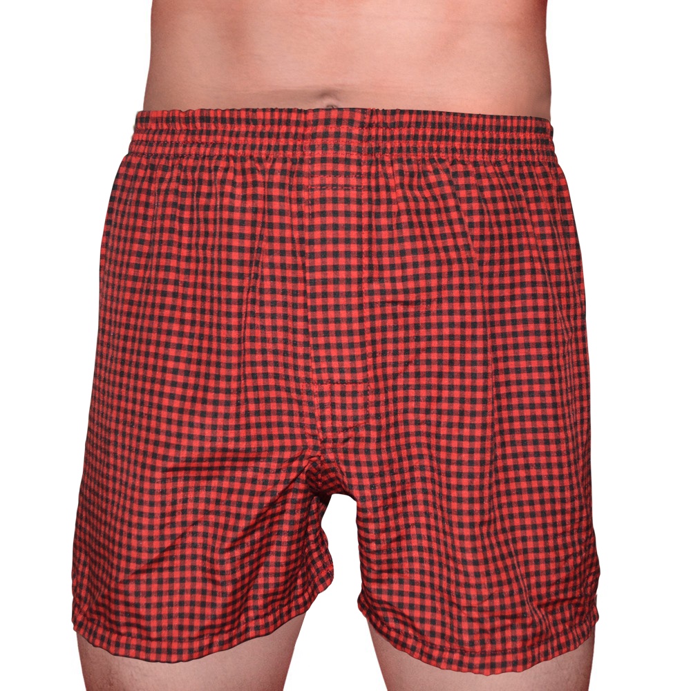 Sunjoy Checkered Boxer Shorts | Shopee Philippines