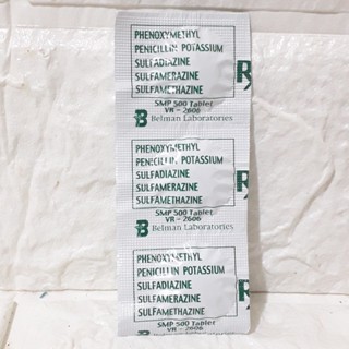 SMP 500 Tablet Cat/Dog Antibacterial for Parvo | Shopee Philippines