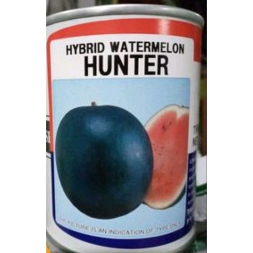 HUNTER HYBRID WATERMELON SEEDS (100 GRAMS) BY TAKII SEEDS | Shopee ...