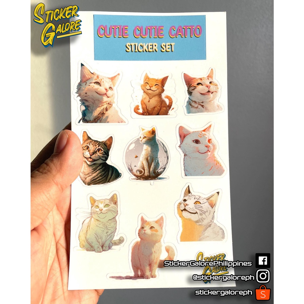 CATS PREMIUM STICKER WATERPROOF AND SCRATCH PROOF (VINYL LAMINATED ...
