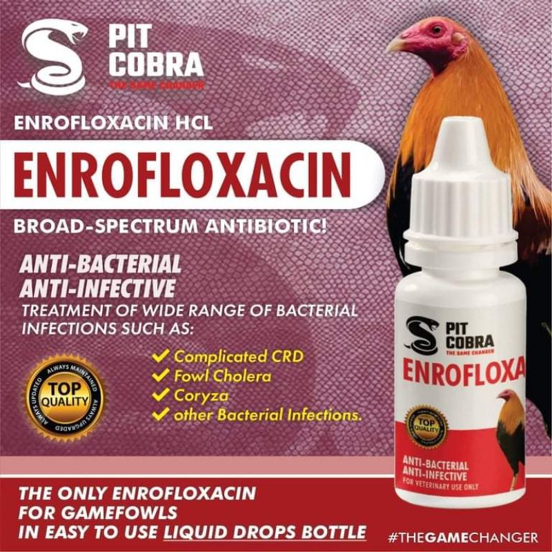 PIT COBRA ENROFLOXACIN DROPS 15ML | GAMEFOWLS | FIGHTING COCK | PIGEONS ...
