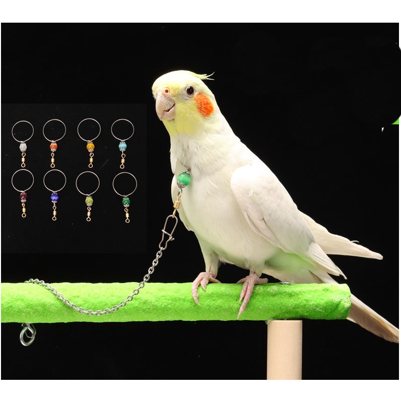 Pet bird parrot neck collar stainless steel ID color and name identify ...