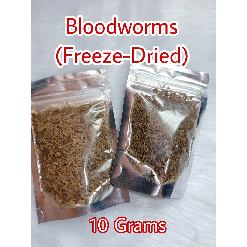 BLOODWORMS FREEZE DRIED 10 GRAMS | Shopee Philippines