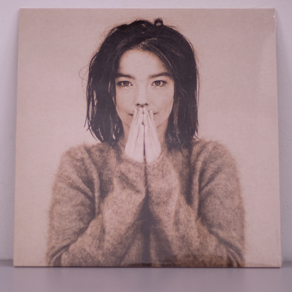Bjork - Debut Vinyl LP Record Album | Shopee Philippines