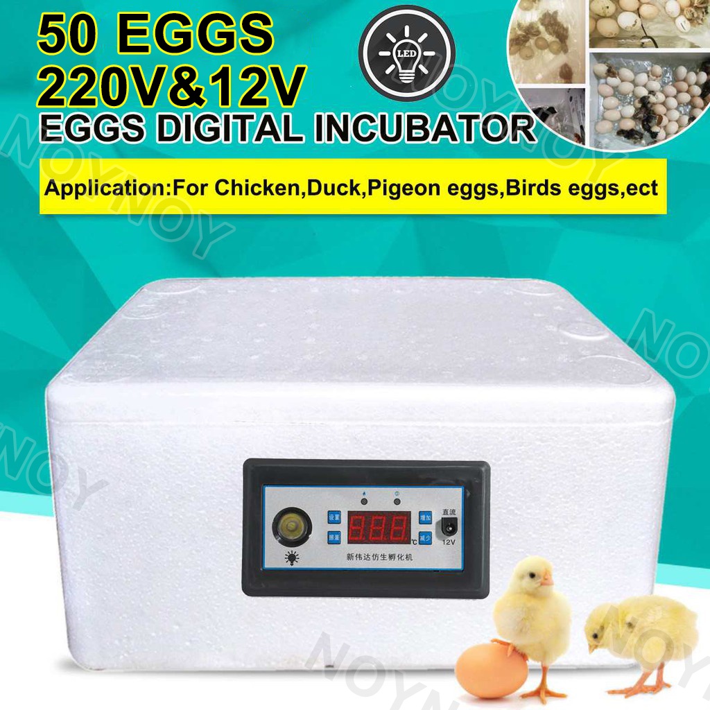 220V/12V 50 Egg Automatic Digital Incubator Chicken Poultry Hatcher Temperature Control | Shopee ...