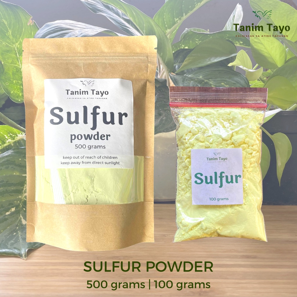 Sulfur Powder, Asupre, Sulphur Powder as Fungicide, for Gardening ...