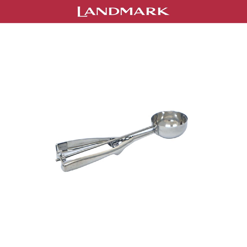 Masflex Stainless Ice Cream Spoon | Shopee Philippines