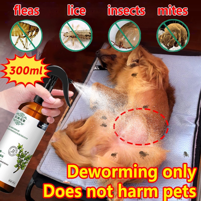 100% Authentic 300ml Ticks Away Anti-Tick & Flea Spray for Dogs & Cats ...