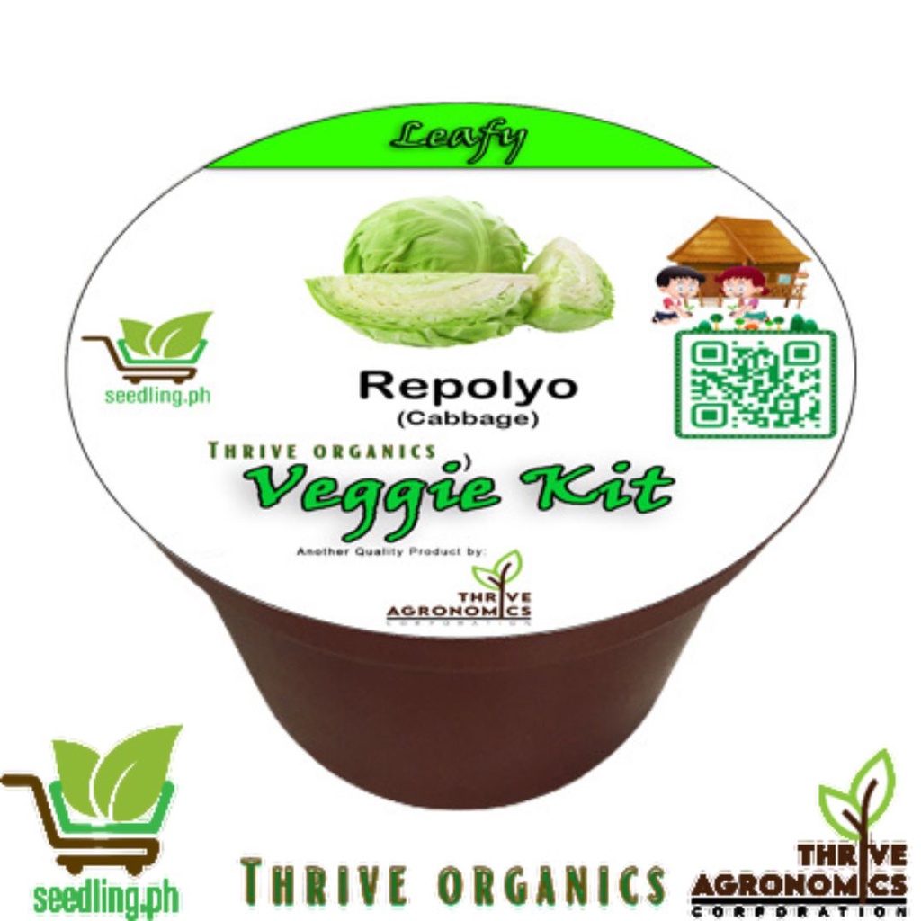 Repolyo Cabbage Veggie Kit Grow Kit Seedling Kit Starter Kit Planting ...