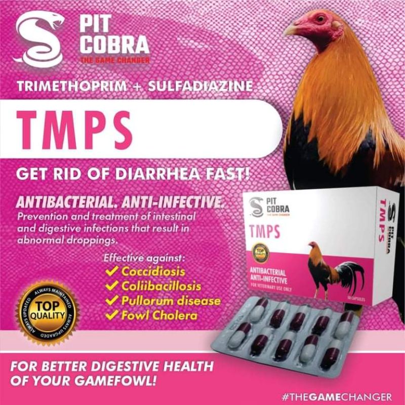 PIT COBRA TMPS | 50CAPSULE | COCK | GAMEFOWLS | PANABONG | VETAGRI ...