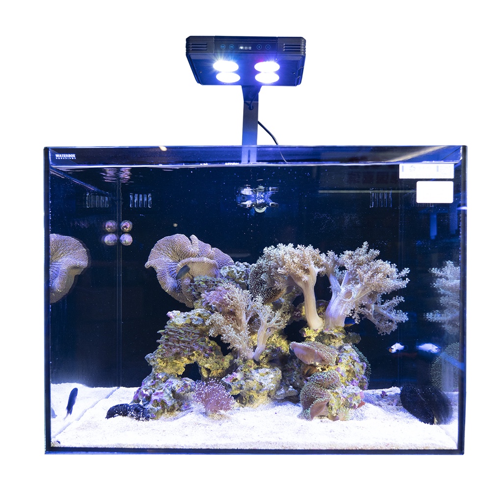 Gako A052 52W Fully Programmable Reef Light Sunrise-Sunset | Shopee ...