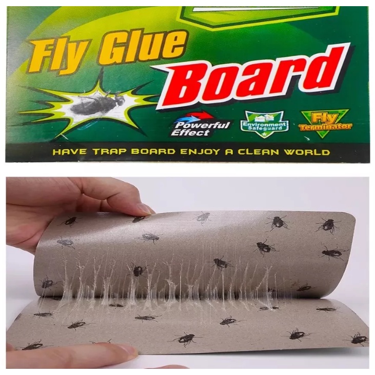 Fly Glue Board Fly/Langaw Catcher Glue Board Strong Sticky Pest/Flies ...
