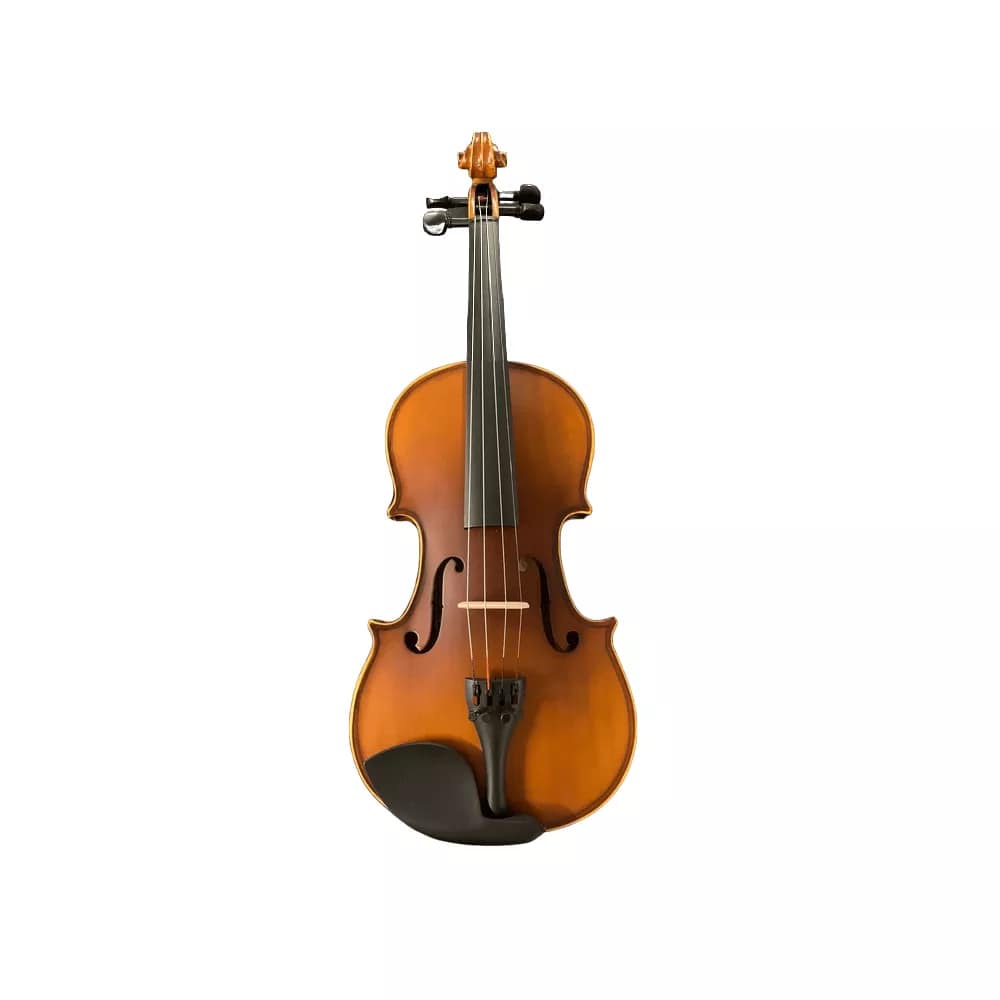 Fernando VP-50N 4/4 Classical Violin Set with Matte Amber Finish, Case ...