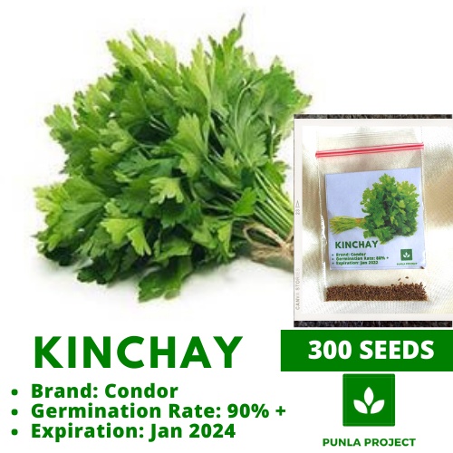 KINCHAY Condor seeds leafy seeds gardening | Shopee Philippines