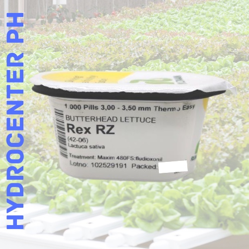 BUTTERHEAD LETTUCE REX RZ THERMO PILL 1000 PILLS PELLETTED BY RIJK ...