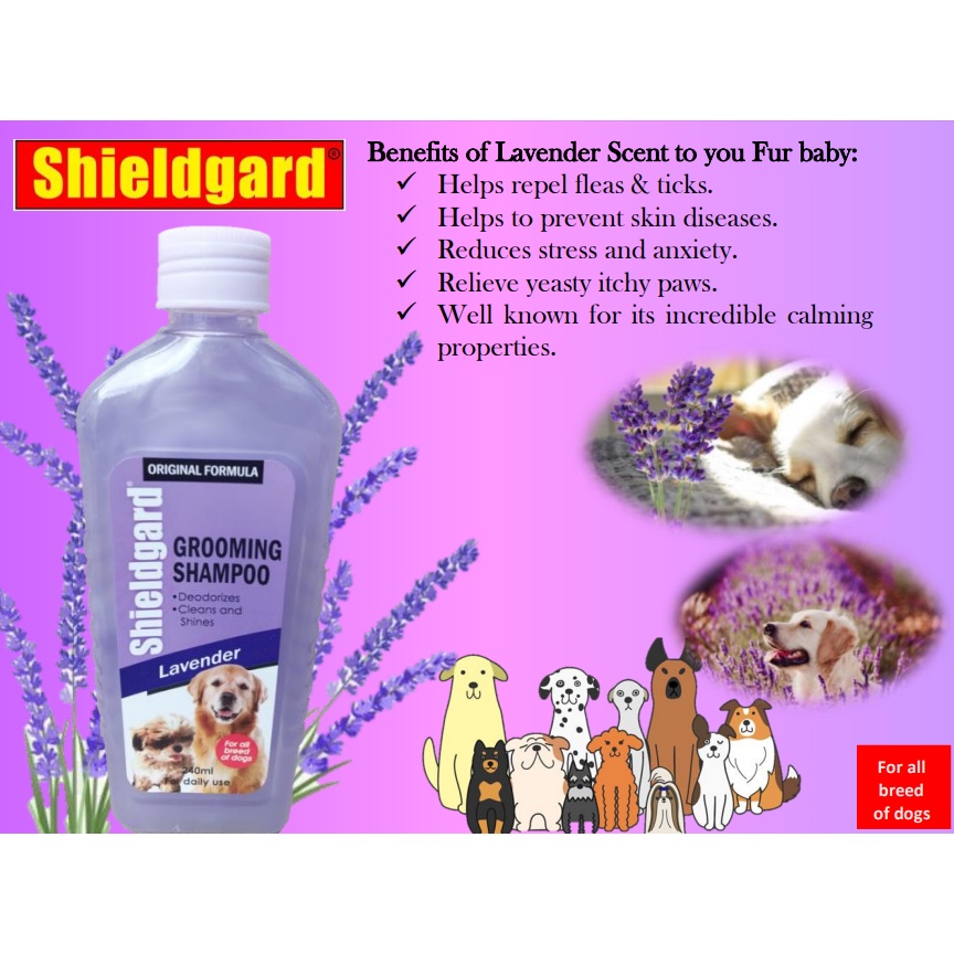 Lavender Scent Shieldgard Dog Grooming Shampoo 240ml | Shopee Philippines