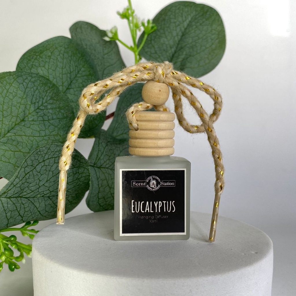 Scent Station Hanging Diffuser - Eucalyptus 10ml | Shopee Philippines