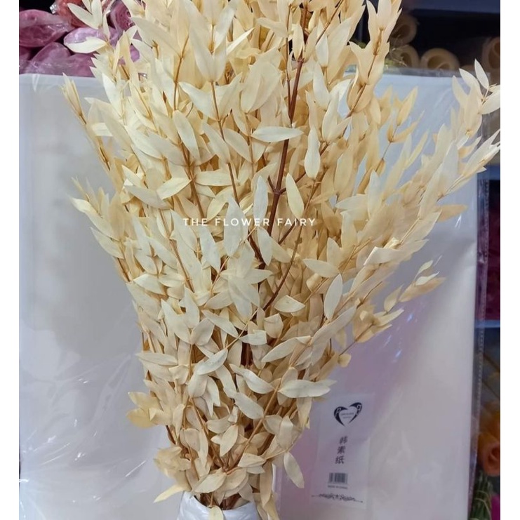 Dried Flower Parvi sold per stem | Shopee Philippines