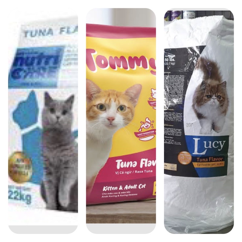 Shop princess cat food tuna for Sale on Shopee Philippines