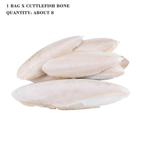 Cuttlebone Cuttlefish Bone Sepia Cuttle Fish Bird Food Pickstone ...