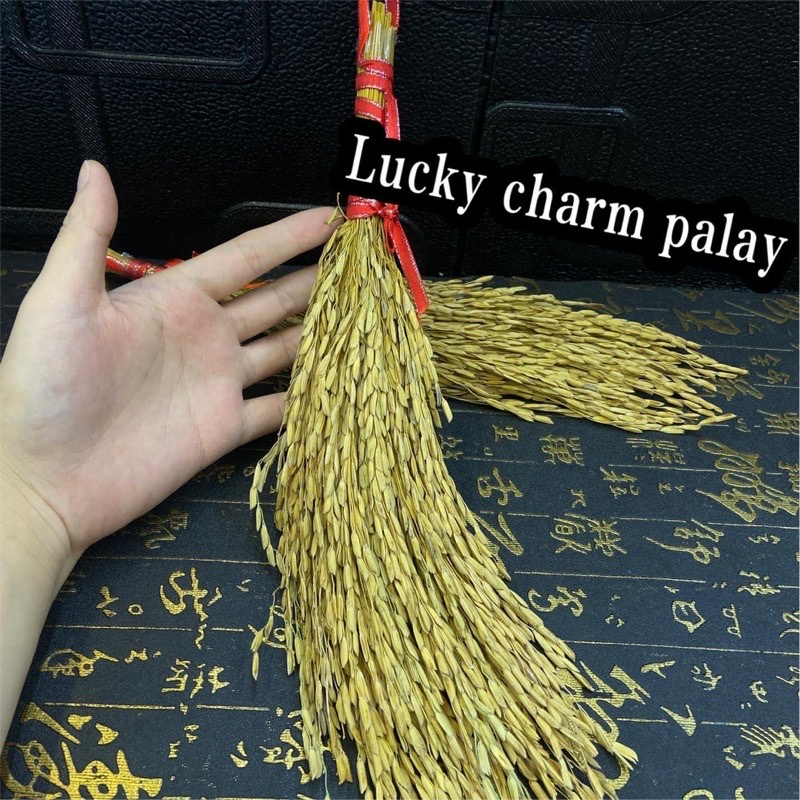Palay Lucky Charm for Family and Wealth Pang Taboy Malas , Good Health ...