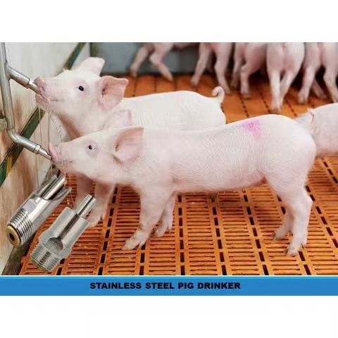 1/2" Stainless Steel Pig Nipple Water Drinker Stainless Steel Automatic ...