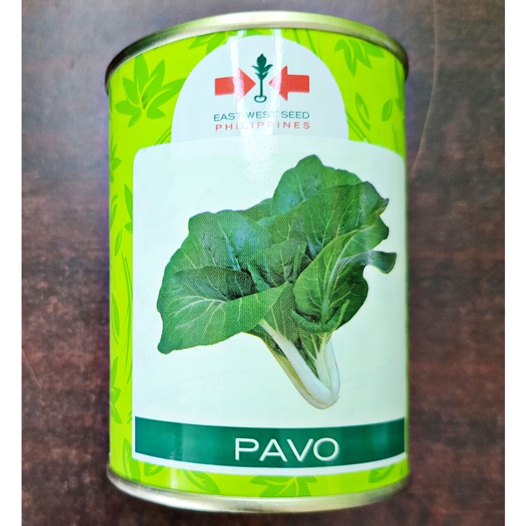 PAVO OPV PECHAY SEEDS (100 GRAMS) BLACK BEHI TYPE PETCHAY by EAST WEST ...