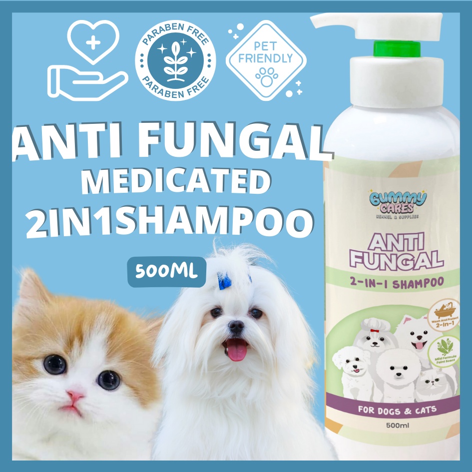 Medicated Dog Shampoo & Conditioner ANTI FUNGAL SHAMPOO by GummyCares ...