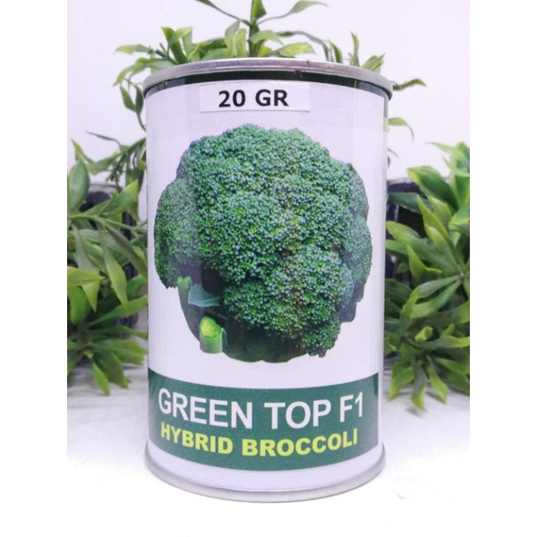 Green Top F1 Hybrid Broccoli Condor (20g) | Shopee Philippines