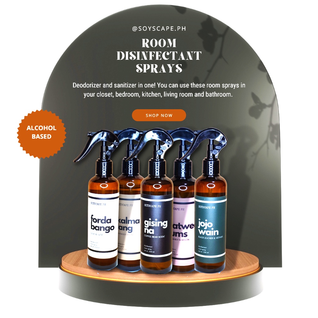 Soyscape PH Disinfectant Spray / Room Spray / Linen Spray / Home Spray ...