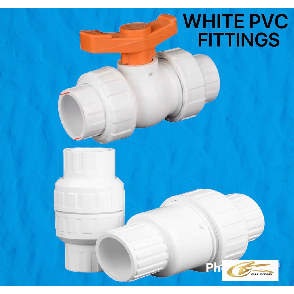 PVC White Fittings 1/2'' 3/4'' 1'' union ball valve , check valve ...