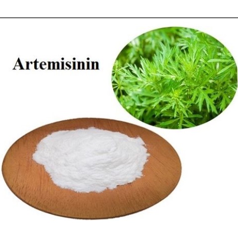 Artemisinin Powder 98%/Artemisia annua powder | Shopee Philippines