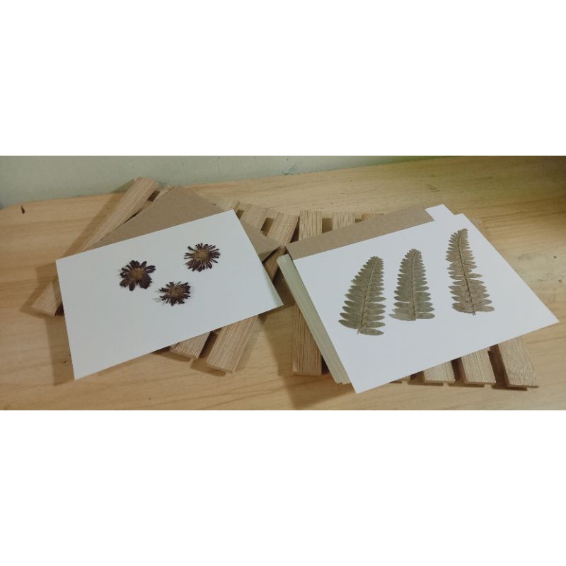 Plant Press/ Herbarium Press kit | Shopee Philippines