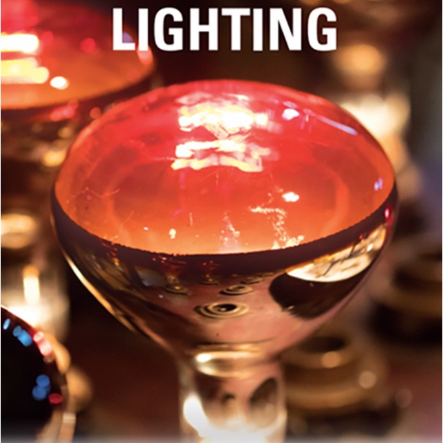 HEATPLUS PAR38 Infrared Lamp Korean Made Light Bulb | Shopee Philippines