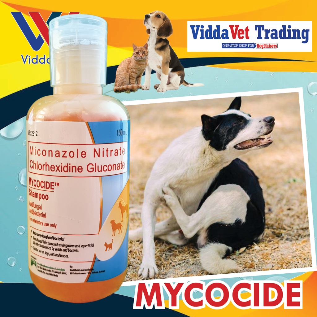 Mycocide Antifungal and Antibacterial Shampoo for Dogs Cats and Horse ...