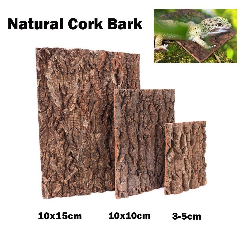 Natural Cork Bark for Tarantula Hideout Reptile Terrarium Climb Tree ...