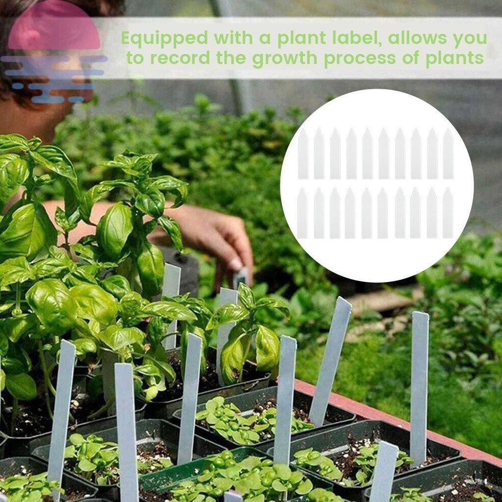 12 Holes Seed Starter Tray Kit with Air Outlet Seed Propagator Set with ...