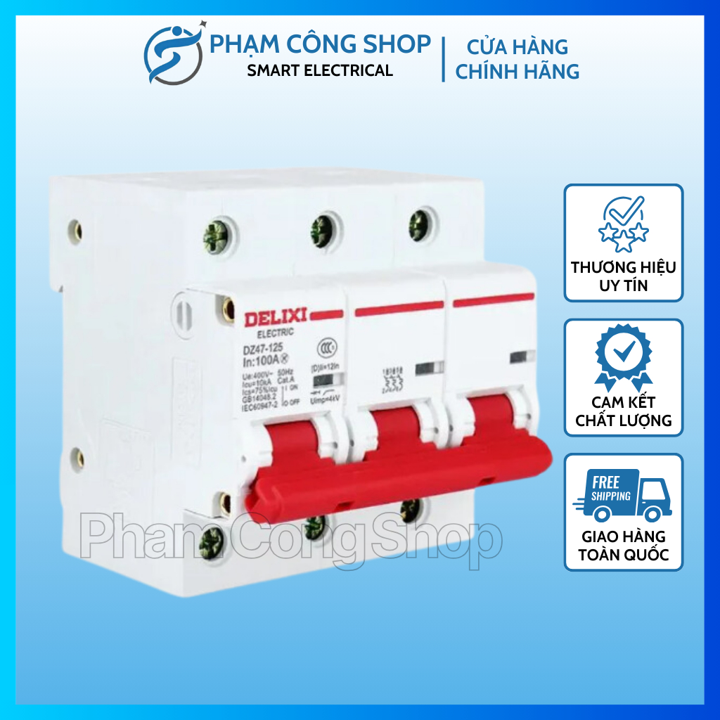 Electrical Safety Protection Circuit Breaker Switch, MCB Delixi 80A - 100A Type 1p 2p 3p 4p ...