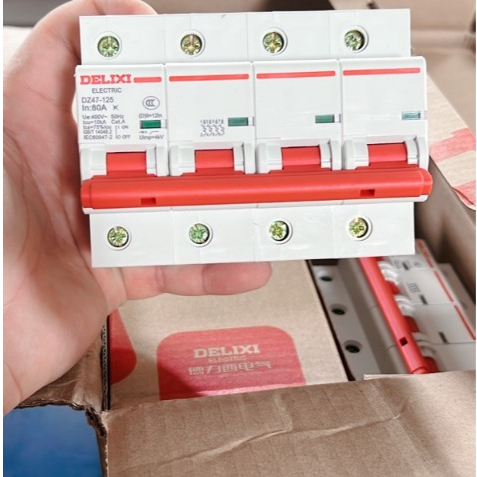 Electrical Safety Protection Circuit Breaker Switch, MCB Delixi 80A - 100A Type 1p 2p 3p 4p ...