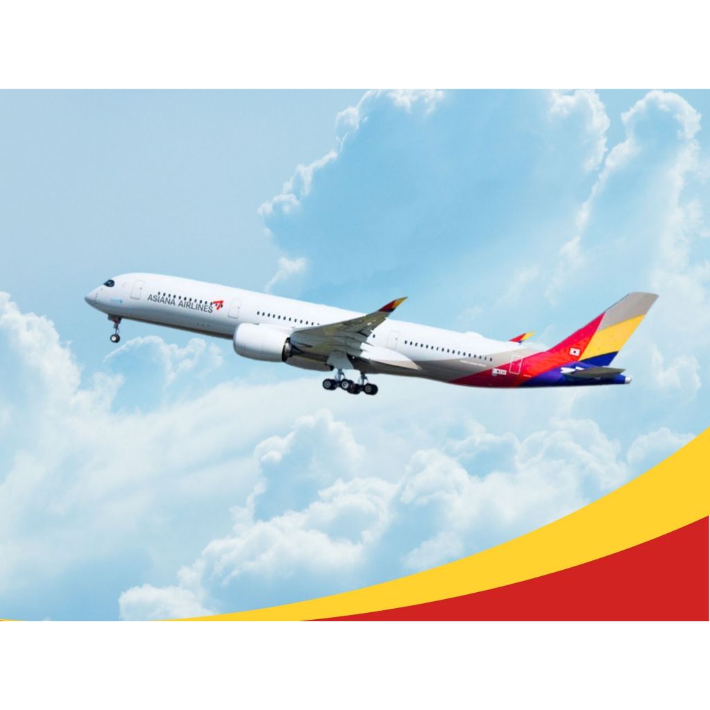 Commercial AIRBUS A350-900 Asiana Airlines Paper Model - Lynderm Store